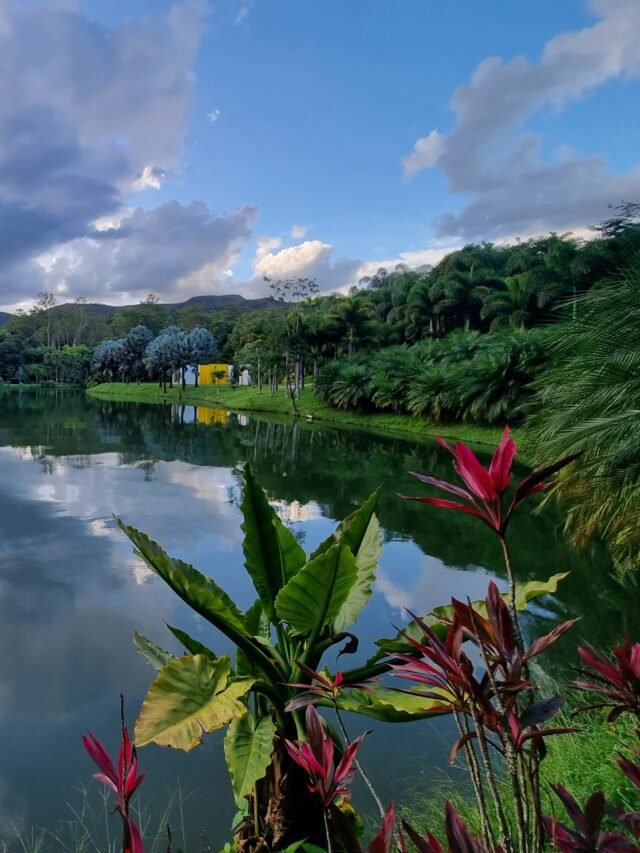 Visite Inhotim, o maior museu do Brasil